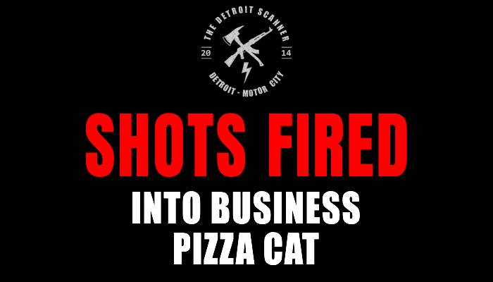 Shots Fired into Business-Downtown Detroit - Motor City 911